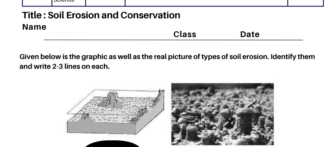 Soil Erosion and Conservation – Worksheet Warehouse