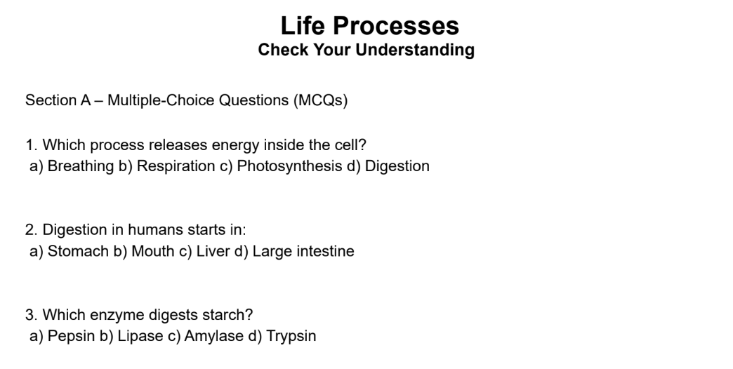 Life Processes – Worksheet Warehouse
